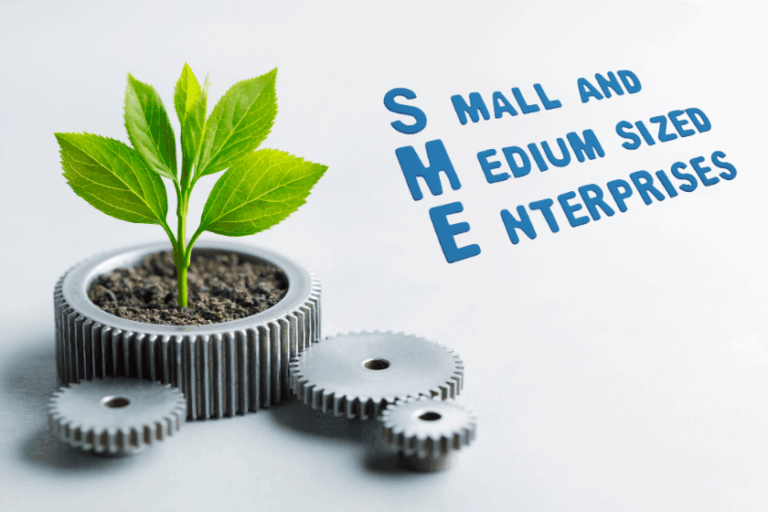 EU SME Sustainability Standard – A Game Changer for Businesses
